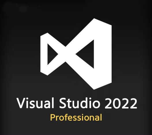 Visual Studio 2022 Professional – KEYS OUTLET
